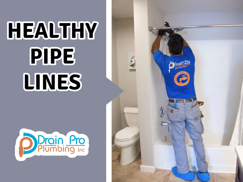 Keeping Your Plumbing System Healthy - Drain Pro Plumbing